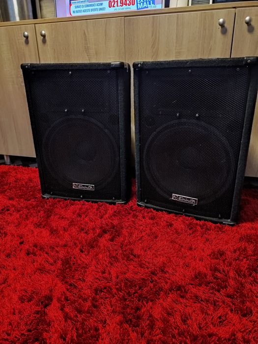 Vând 2 boxe pasive pe 15 inchi EV Pitesti • OLX.ro