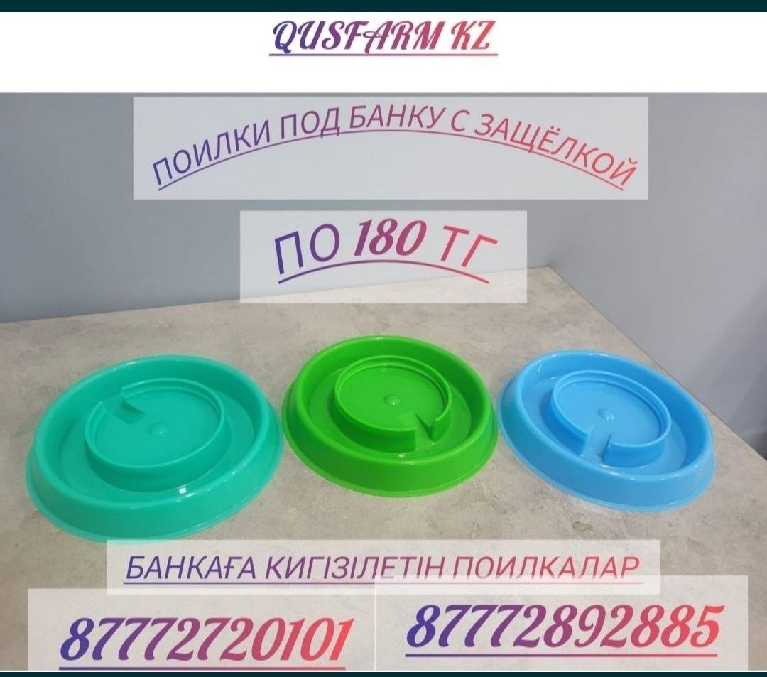Поилка под банку кормушка цыплят балапан бройлер перепела бөдене кур ...