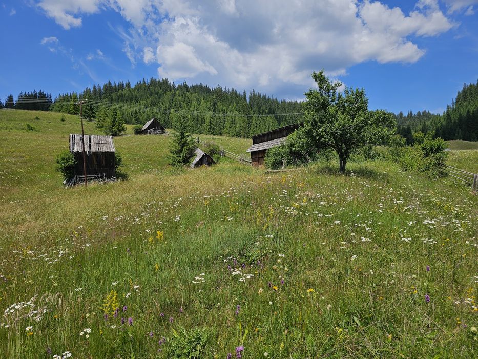 Teren de vanzare cu priveliste panoramica in Bucovina comuna Breaza ...