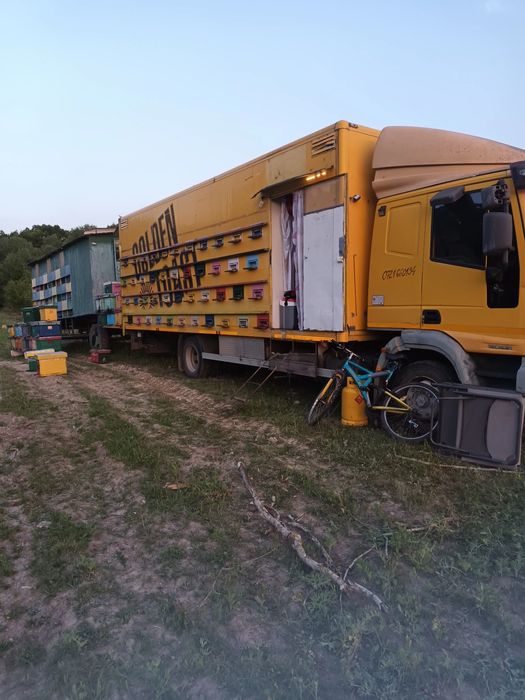 Famili albine și apicole, Camion, Vagon, inventar apicol Chiojdu • OLX.ro