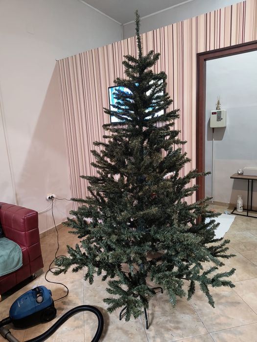 Brad artificial înălțime 210 cm Lugoj • OLX.ro