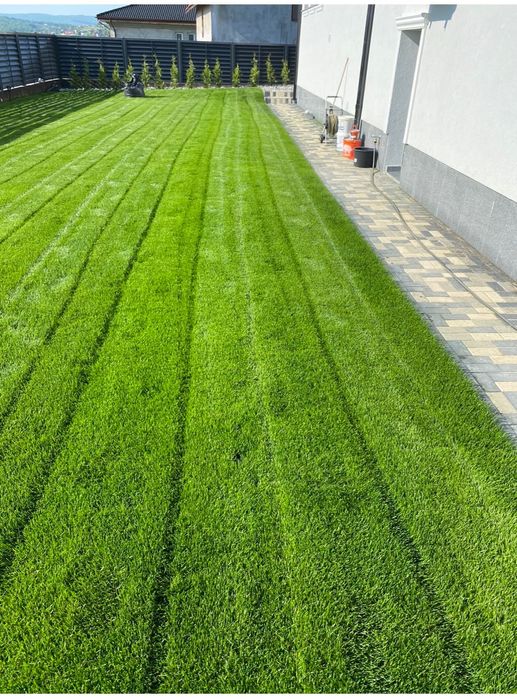 Amenajari gradini, spatii verzi, sisteme de irigat , intretinere Iasi ...