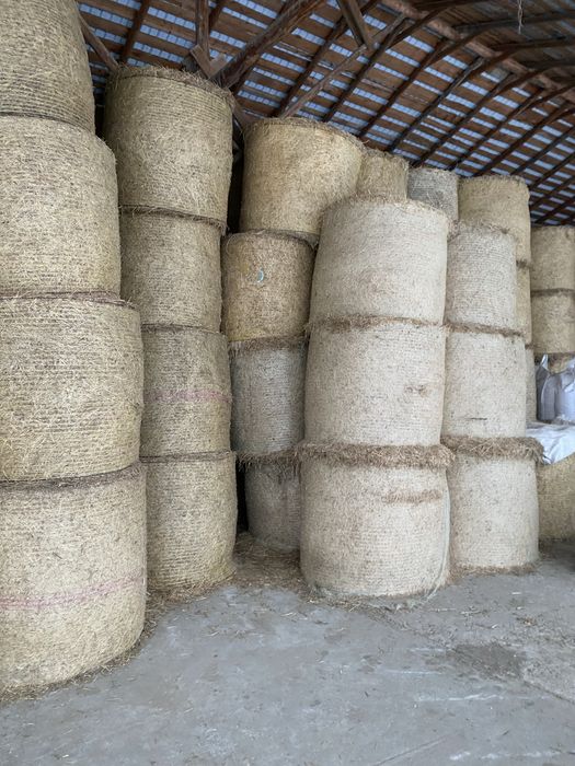 Vand Baloti Lucerna si Siloz Liteni • OLX.ro