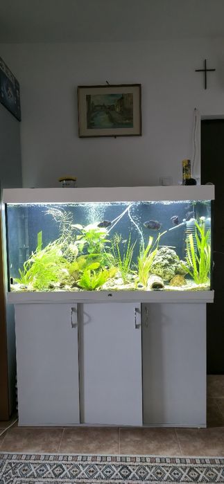 Vand acvariu Jewel 350 litri, complet, ciclat, viabil, cu tot ce este ...