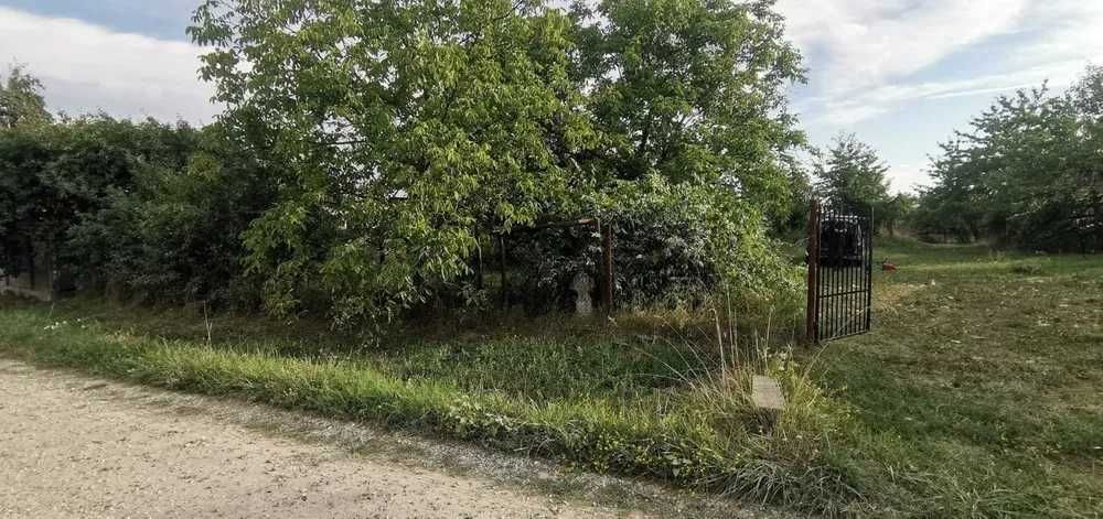 Proprietar, teren Mosoaia, utilitati, cadastru si certificat urbanism ...