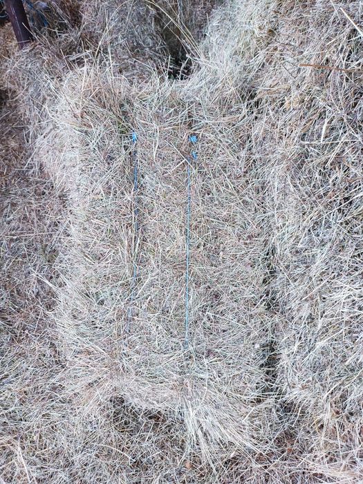 De vânzare baloți fîn Polata • OLX.ro