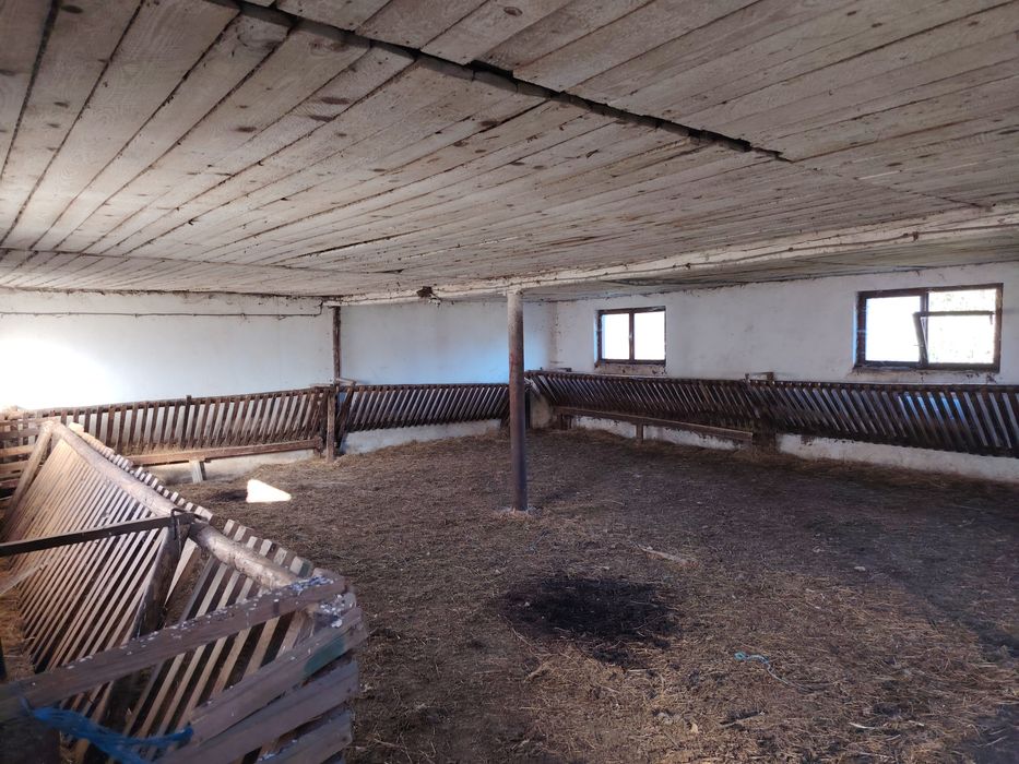 Ferma zootehnica Motiș jud Sibiu Motis • OLX.ro