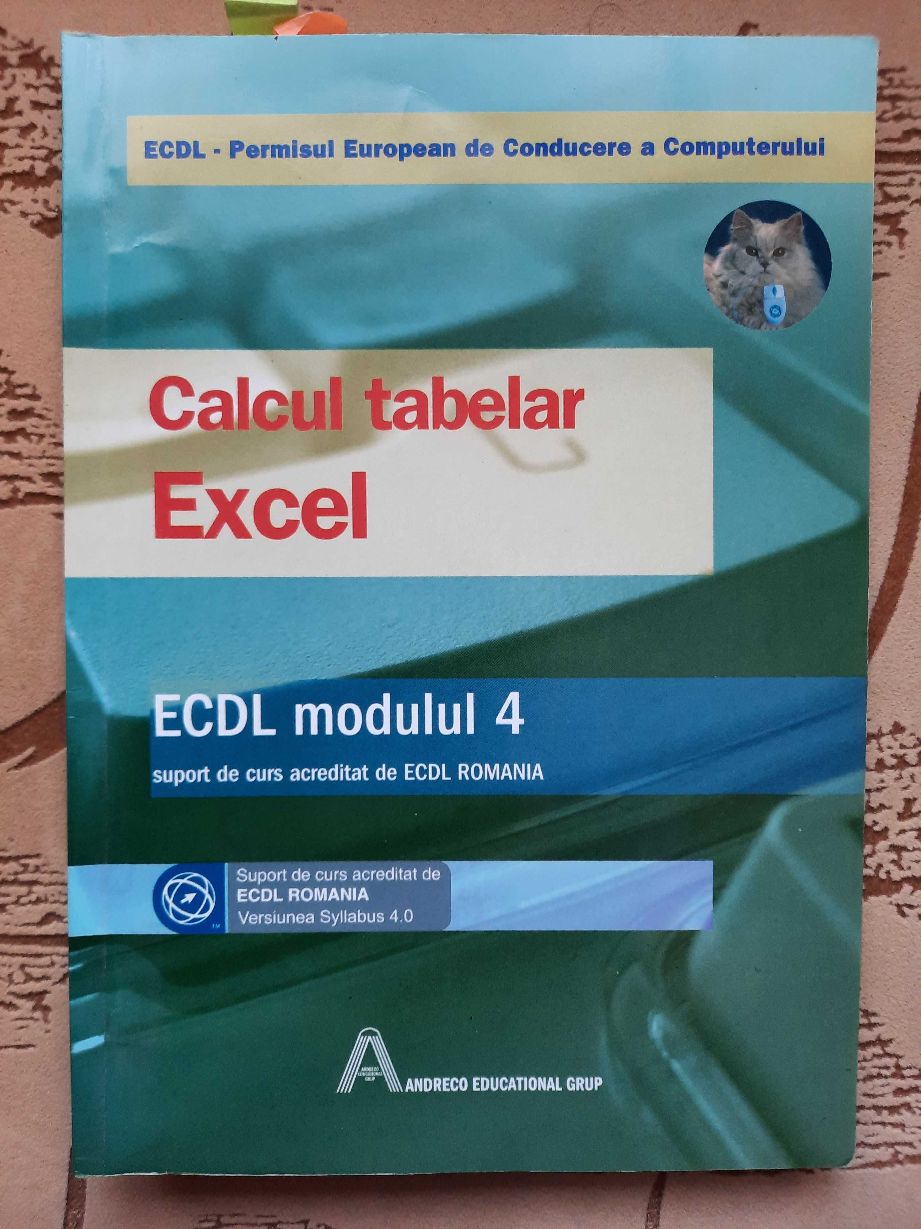 Manual Ecdl Calcul Tabelar Microsoft Excel Manual Ecdl Baze De Date Suceava • Olxro