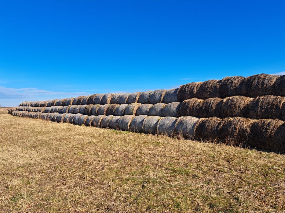 Vând baloți de lucernă Sanmihaiu Roman • OLX.ro