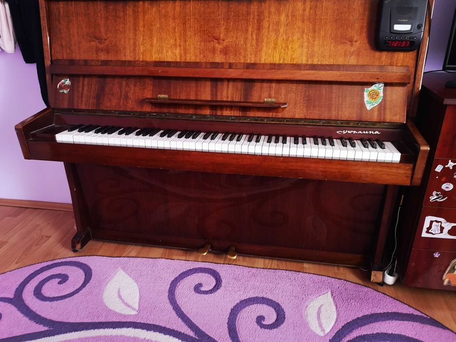 Pian de vânzare, preț negociabil, puteți veni sa îl vedeți Pitesti • OLX.ro