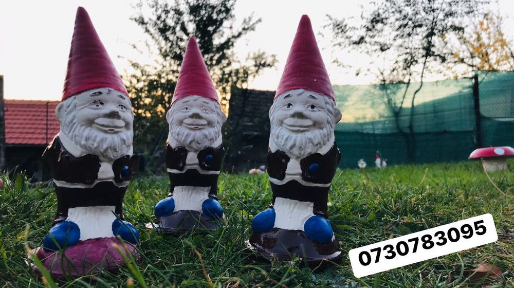 Ciuperci și pitici de grădină Drobeta-Turnu Severin • OLX.ro
