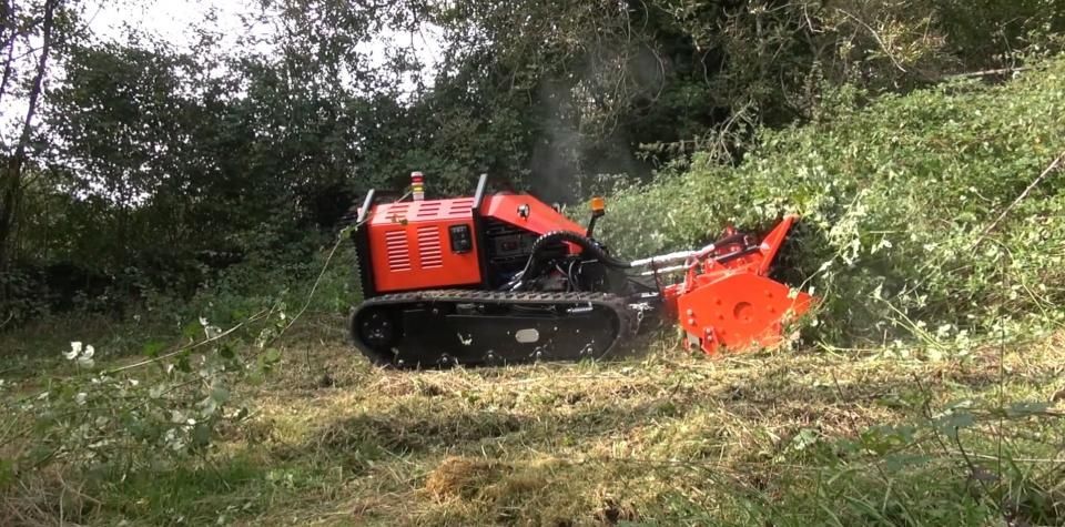 Defrisare vegetatie necontrolata & arbusti / tuns iarba / cosit ...