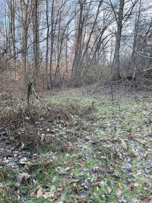 Teren extravilan 15000m, Valea Lunga-Dambovita Valea Lunga • OLX.ro