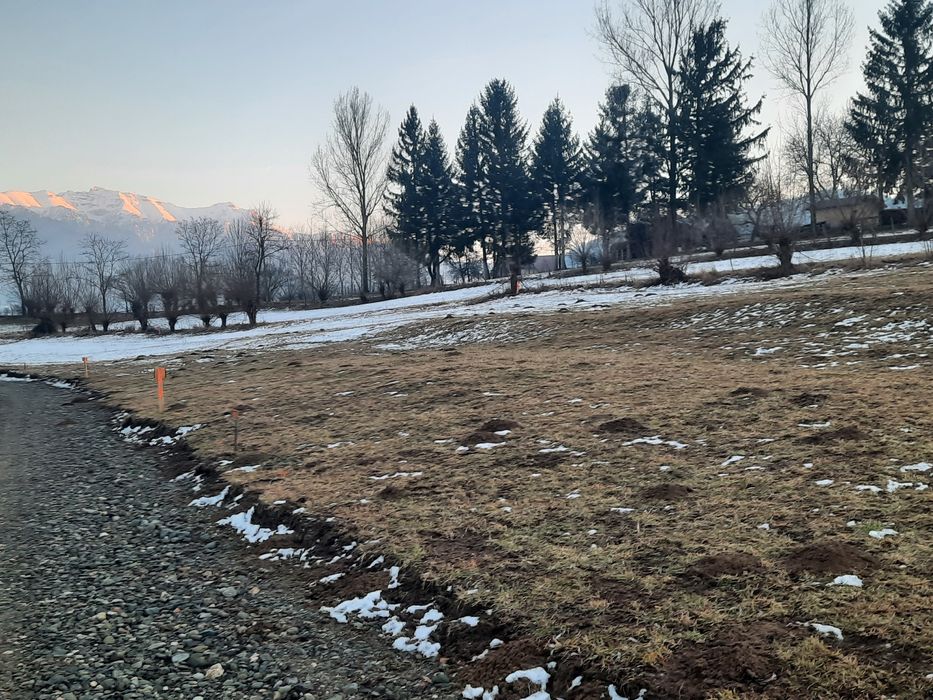 Cateva loturi teren superbe la munte la 5 km de Castelul Bran Predelut ...