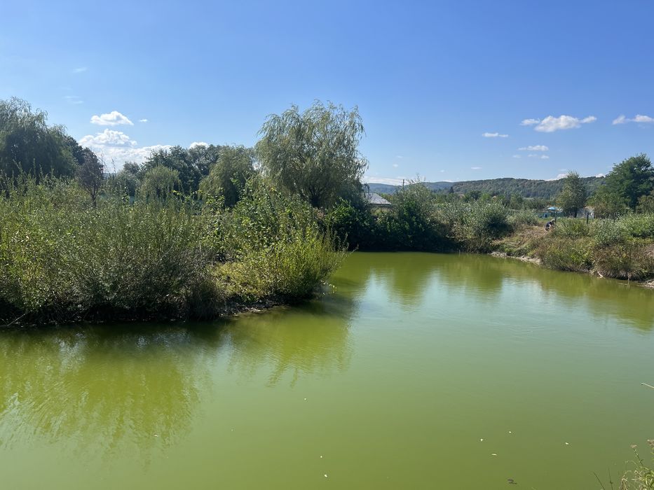 Vand lac de peste(balta pescuit) in comuna Stilpeni, jud arges Pitesti ...