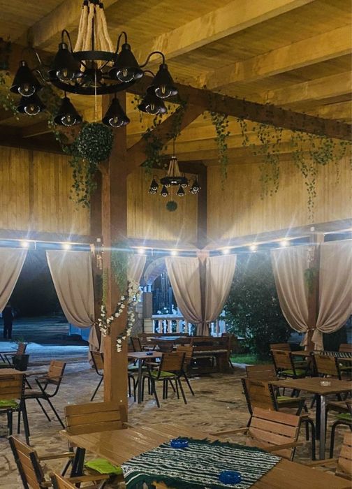 Restaurant complet utilat la DN Moinesti • OLX.ro