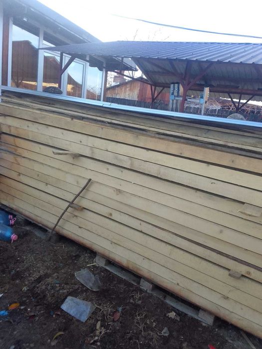 Capriori de vanzare Bradu • OLX.ro