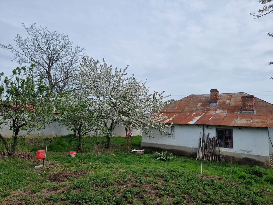 De vânzare casa + 1000 mp intravilan Pielesti Pielesti • OLX.ro