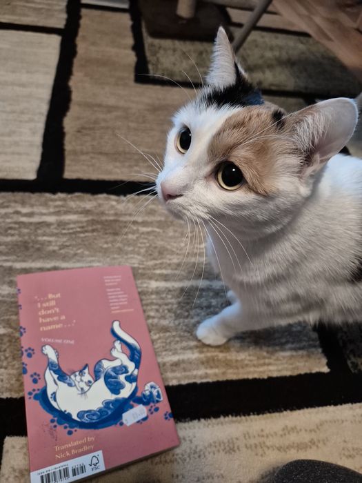 I am a cat de Natsume Sōseki Bucuresti Sectorul 6 • OLX.ro