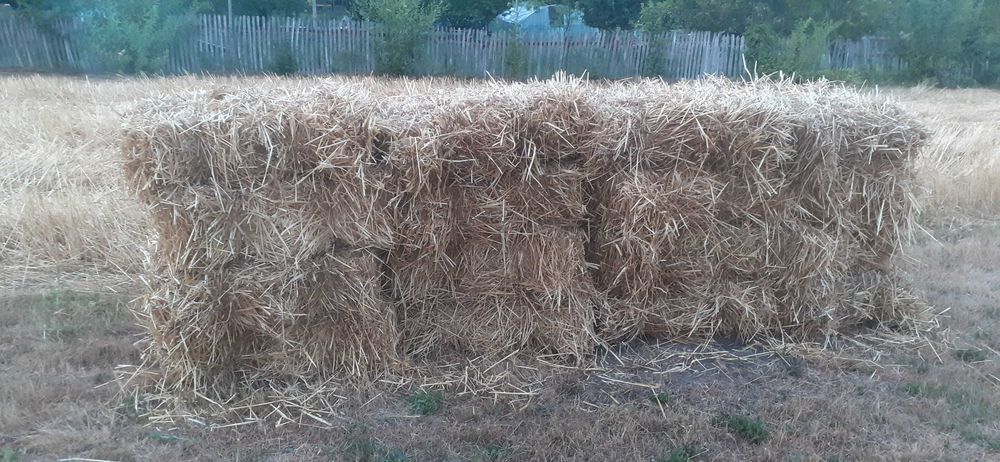 Vind Baloti fîn și paie de griu și de ovaz Brad • OLX.ro