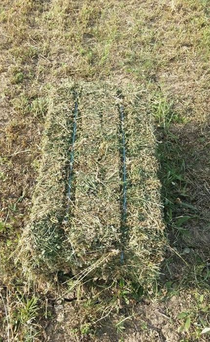 Vând urgent baloti de lucernă 8lei Farcaseni • OLX.ro