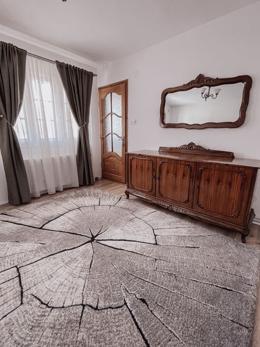 Casa de vanzare Apuseni, Valea Ariesului Bistra • OLX.ro