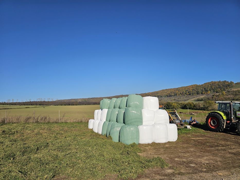 Baloti otava lucerna infoliati Roman • OLX.ro