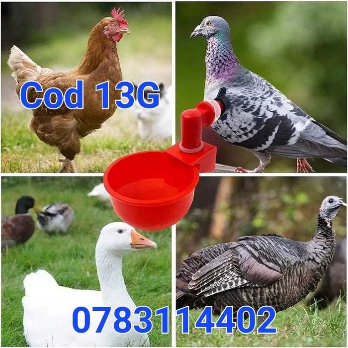 Adapatori automate gaini pui pasari curci fazani rate porumbei - 13G Targu-Mures • OLX.ro