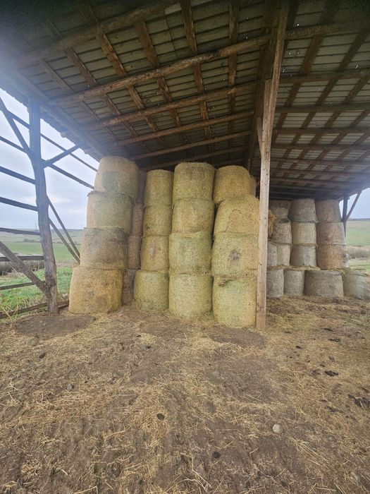 Baloti de lucerna Jucu de Sus • OLX.ro