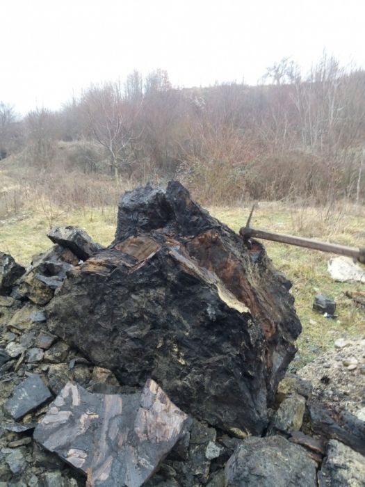 Carbuni Pentru Foc - OLX.ro