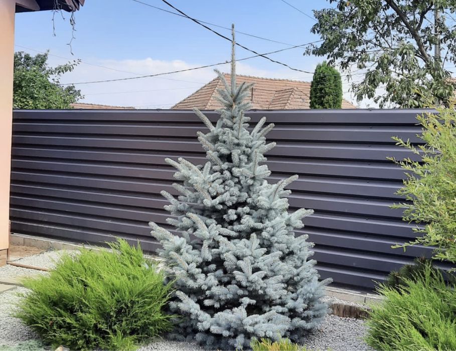 Gard din tabla cutata Viking, model T35 fatada, vopsita electrostatic ...