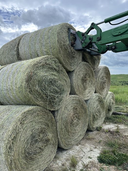 Baloti lucerna 2025 Brabova • OLX.ro