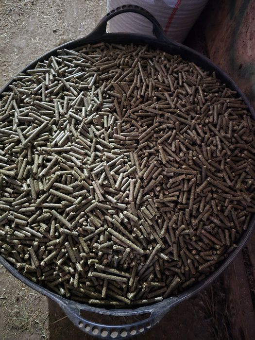 Lucerna baloti și granule Rodna • OLX.ro