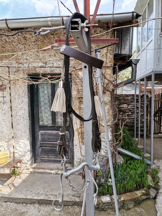 Șa călărie și capici echitație! Craiova • OLX.ro
