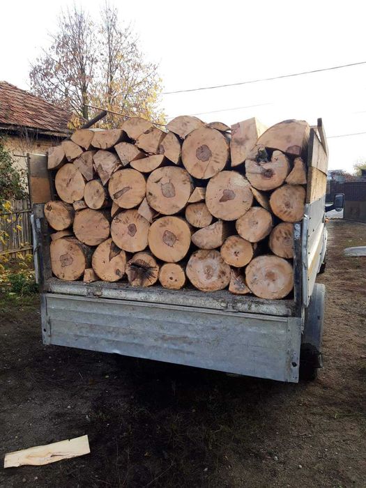 Lemn de foc la pret mic Targu Jiu • OLX.ro