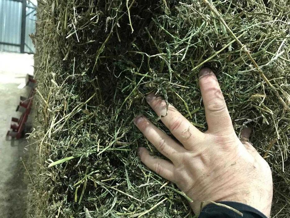 Baloti de lucerna premium, deshidratata, fara boli, praf, impuritati ...