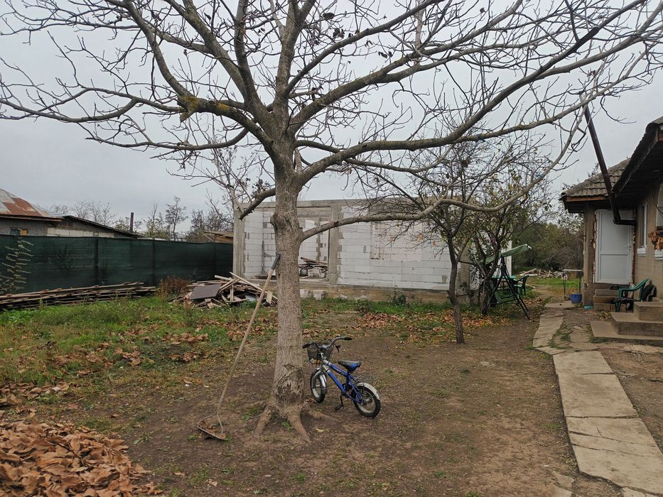 Casa de vanzare la țară Boldesti-Gradistea • OLX.ro