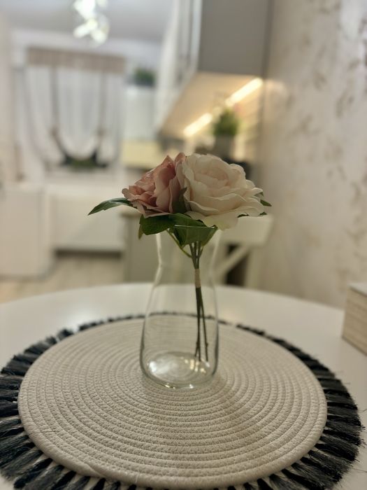 Yan Home Studio Apartment Predeal • OLX.ro