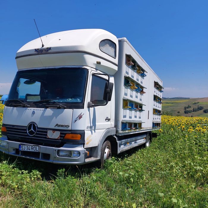 Mercedes Benz Atego 815 Camion apicol Varsolt • OLX.ro