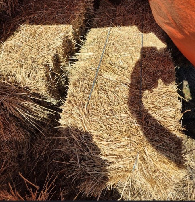 Vând baloti de lucerna coasa 2 Domnesti • OLX.ro