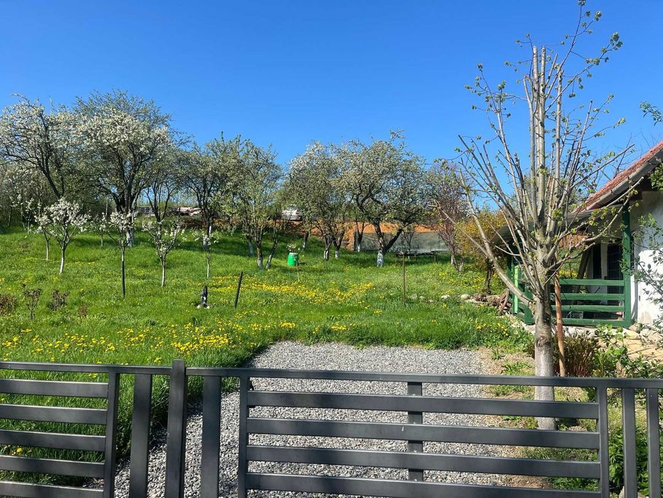 Proprietate de vanzare in sat Badeni comuna Moldovenesti Badeni • OLX.ro