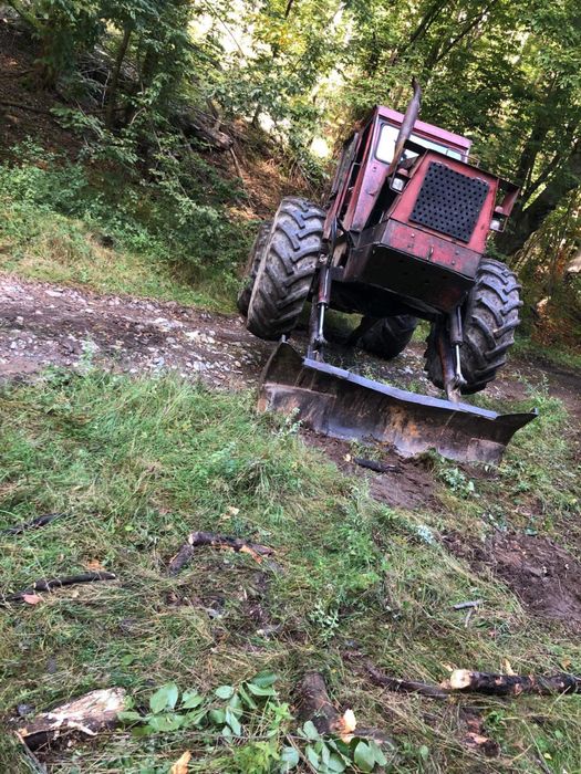 Taf romanesc clasic Vata de Jos • OLX.ro