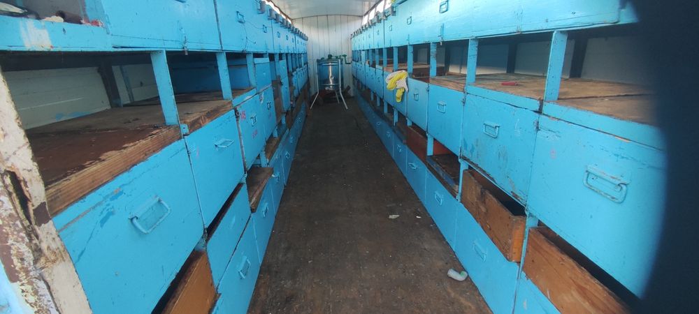 Pavilion apicol - inscris in circulatie - schelet Buzau • OLX.ro