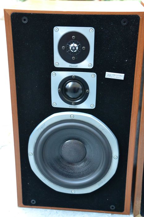 Boxe Magnat AllRibbon 10 P Cluj-Napoca • OLX.ro