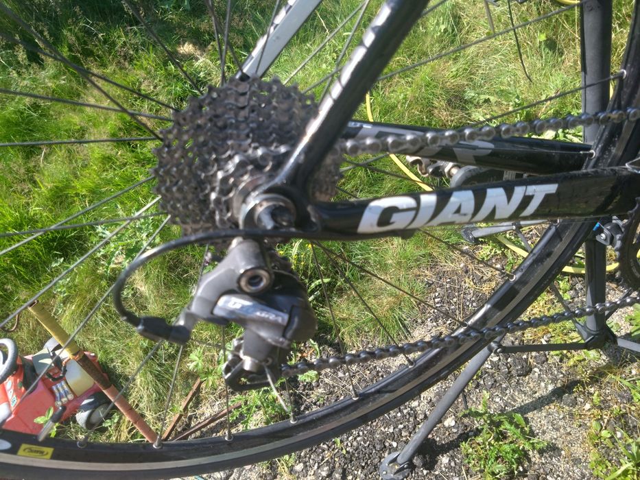 Cursiera giant tcr composite carbon Ortoaia • OLX.ro