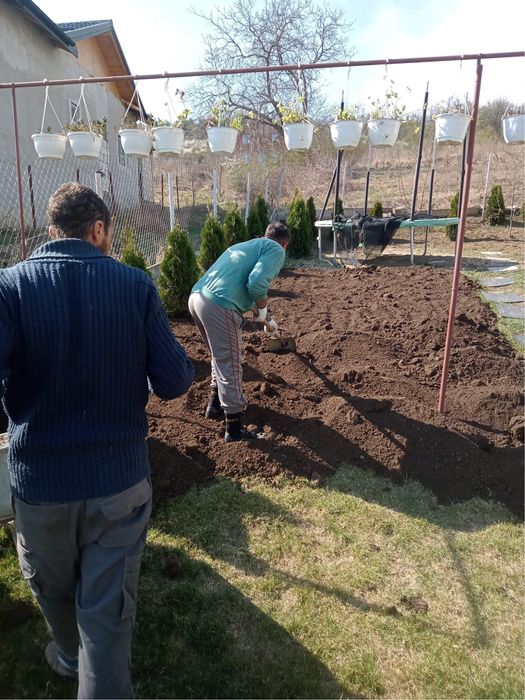 Amenajari Gradini ,curatare , dus gunoi etc Pamant Negru si Mranita ...