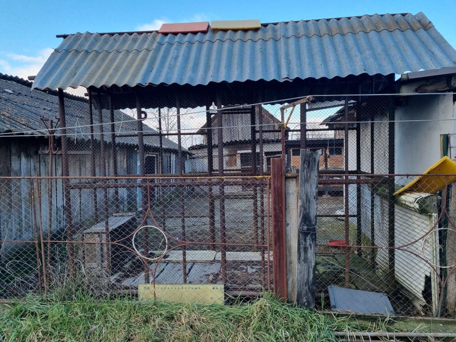 Coser porumb în stare buna Luncani • OLX.ro