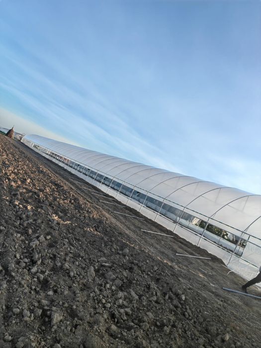 Sere solarii arcade cu montaj sau fara Hantesti • OLX.ro