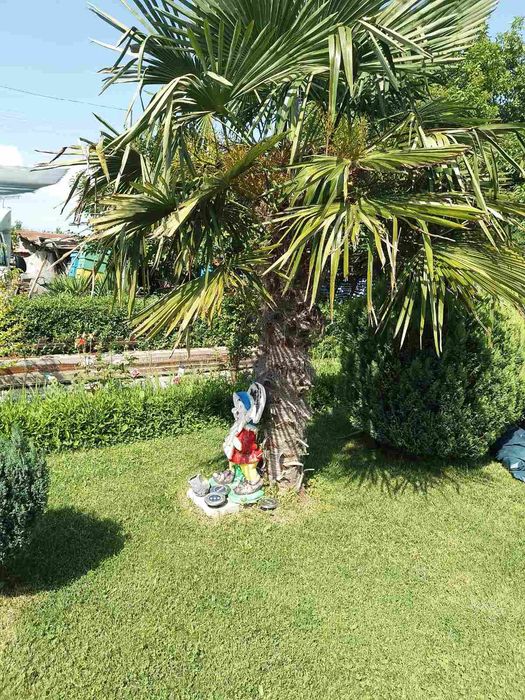 Самостоятелна къща с двор в село Богданица От собственик с Богданица • Olx Bg