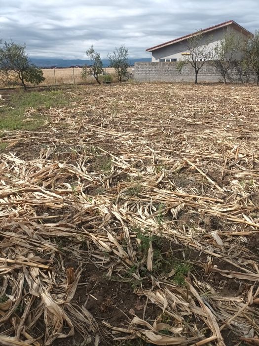 Teren cartier Preajba Preajba Mare • OLX.ro